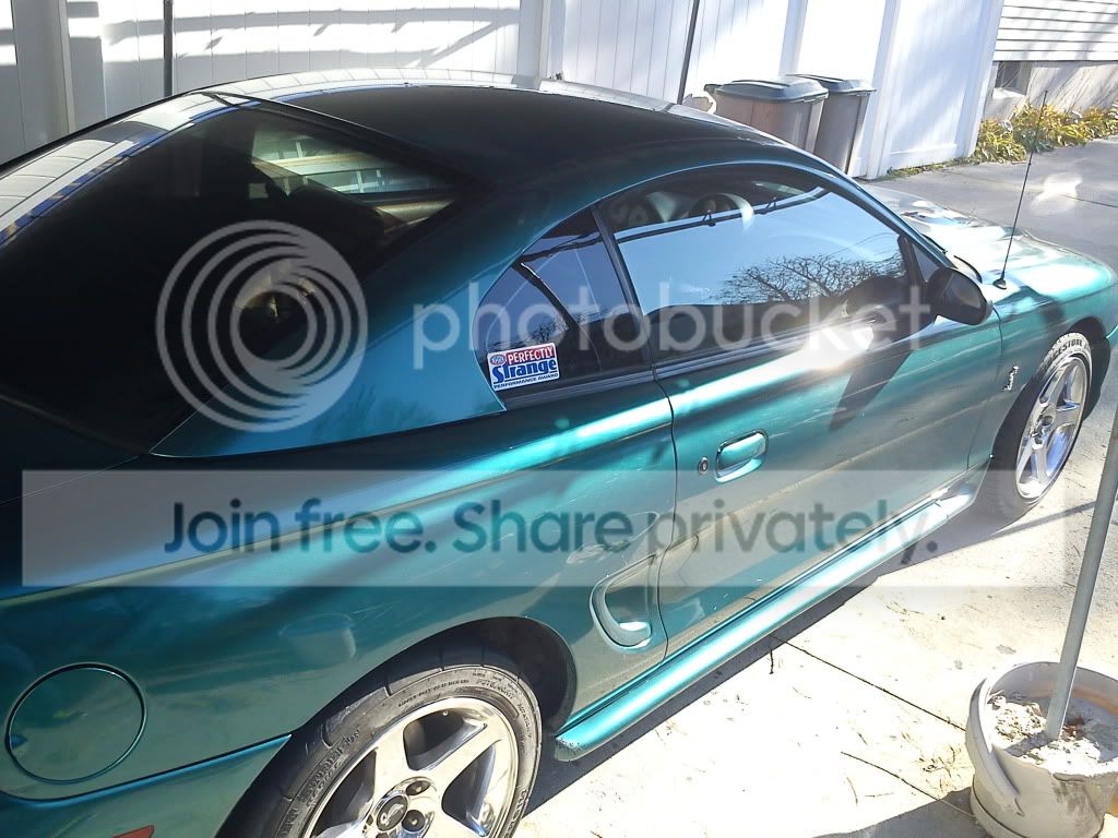 Supercharged, 6 speed 97 Cobra build | SN95Forums The Only SN95 1994 ...