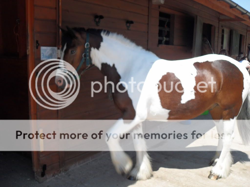 Mis fotos hasta ahora Kuga Jazz & Katie P | Ford Kuga Owners Club Forums