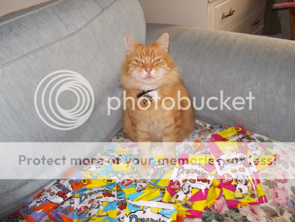 Dreamies Cat Treats @ Asda 50p — MoneySavingExpert Forum